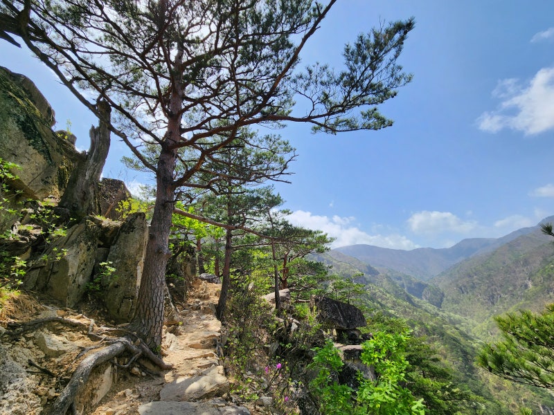 두타산 무릉계곡 베틀바위 산성길 등산코스 무릉계곡 관리소 베틀바위전망대 12산성폭포 용추폭포쌍폭포 관리소