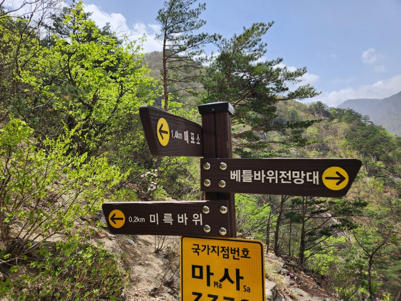 두타산 무릉계곡 베틀바위 산성길 등산코스 무릉계곡 관리소 베틀바위전망대 12산성폭포 용추폭포쌍폭포 관리소