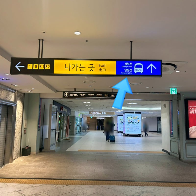 4월 고터 꽃시장 지하철에서 찾아가는법 운영시간 작약 시즌 네이버 블로그