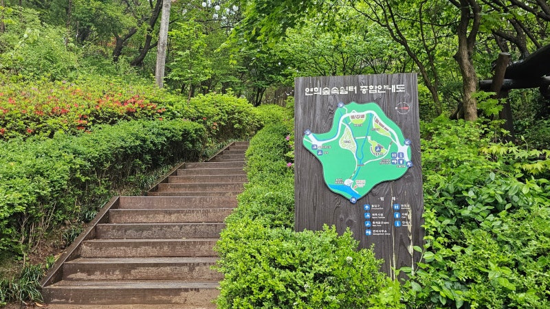 도심 속 새로운 힐링 명소 서대문 홍제천 인공폭포홍제폭포 수변테라스 카페 폭포ft 가는 법 및 주차장 네이버 블로그