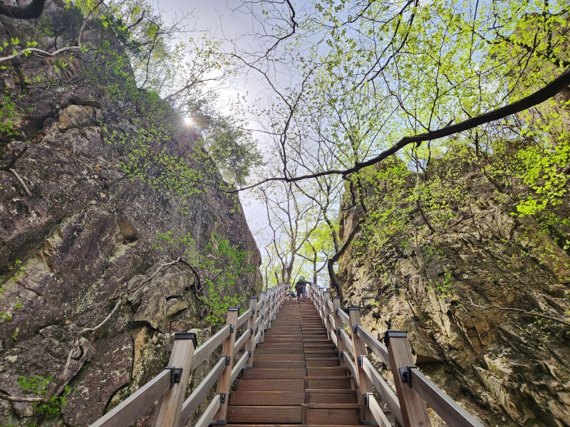 두타산 무릉계곡 베틀바위 산성길 등산코스 무릉계곡 관리소 베틀바위전망대 12산성폭포 용추폭포쌍폭포 관리소