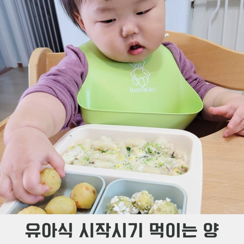 아기 유아식 언제부터 양 완료기 이유식 시작시기 경험 팁 공유 네이버 블로그