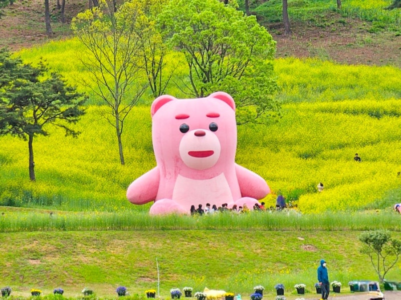 전남 화순 가볼만한곳 여행코스 추천 네이버 블로그