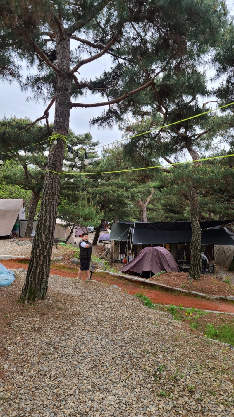 5월 캠핑룩 캠핑복장 간절기 캠핑옷 준비 네이버 블로그