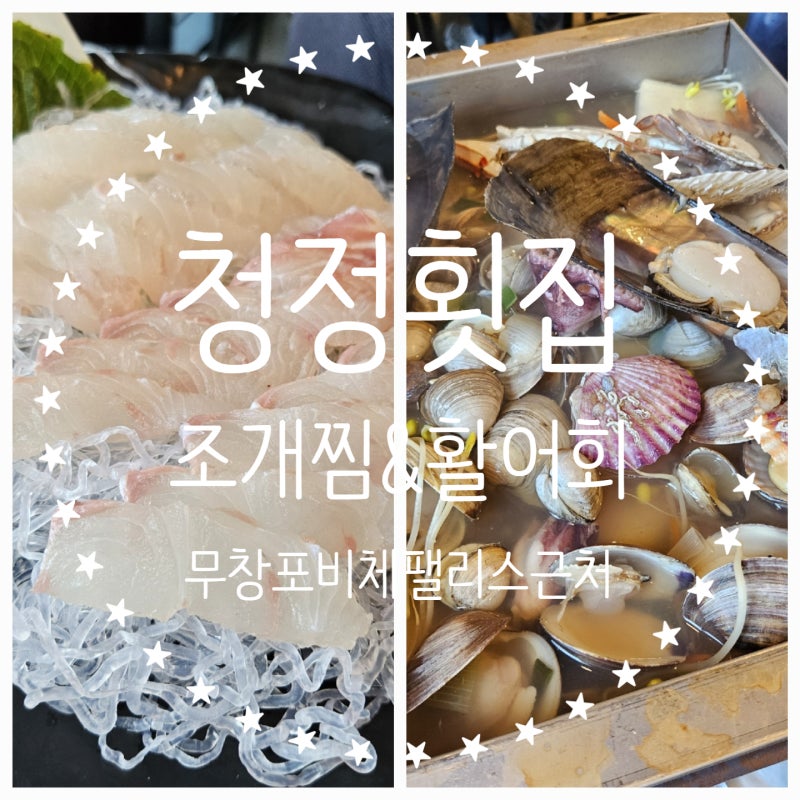 무창포 청정횟집 조개구이and조개찜and활어회 비체팰리스근처 회맛집 네이버 블로그
