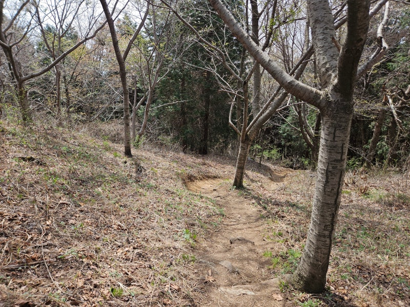 창원 진해 장복산 등산코스 장복산조각공원 출발 네이버 블로그