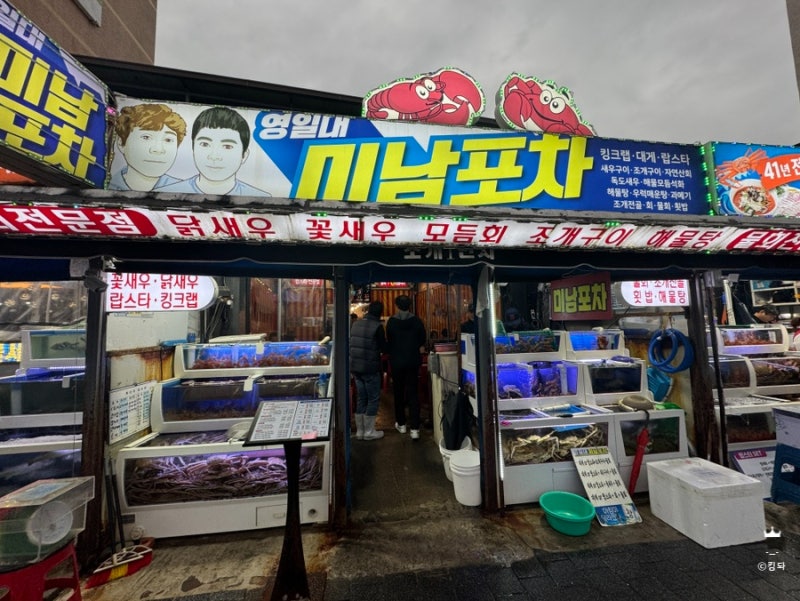 포항 대게 맛집 독도새우까지 내돈내산으로 먹고 온 영일대 미남포차 네이버 블로그