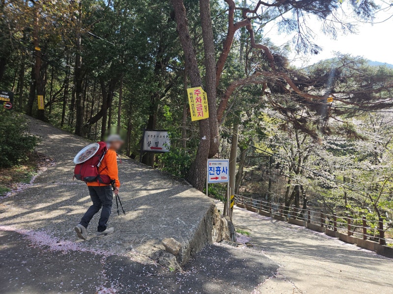 창원 진해 장복산 등산코스 장복산조각공원 출발 네이버 블로그