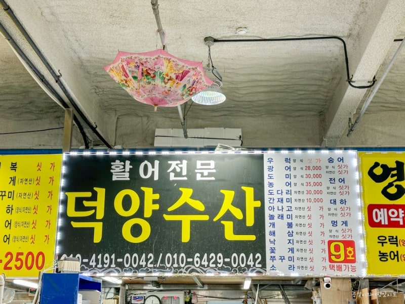 충남 서산 삼길포항 회뜨는 선상횟집 주차 위치 가격 영업시간 네이버 블로그