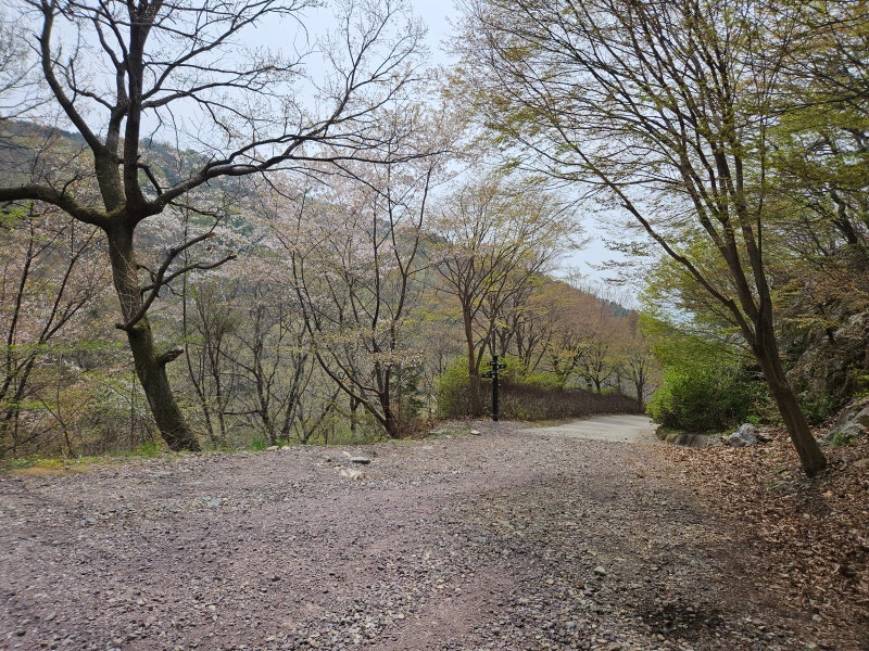 창원 진해 장복산 등산코스 장복산조각공원 출발 네이버 블로그