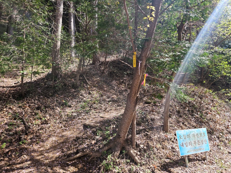 창원 진해 장복산 등산코스 장복산조각공원 출발 네이버 블로그
