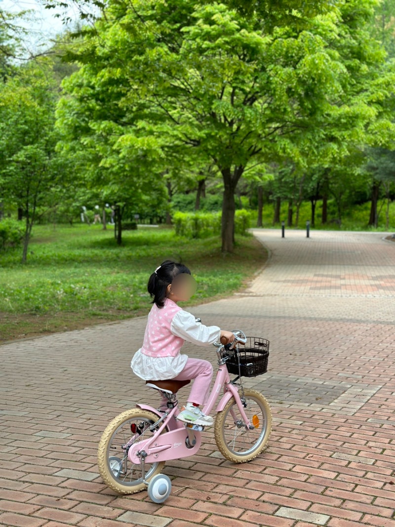 삼천리 딩고 6살 유아 자전거 러블리한 핑크컬러 W내돈내산 어린이날 준비 네이버 블로그