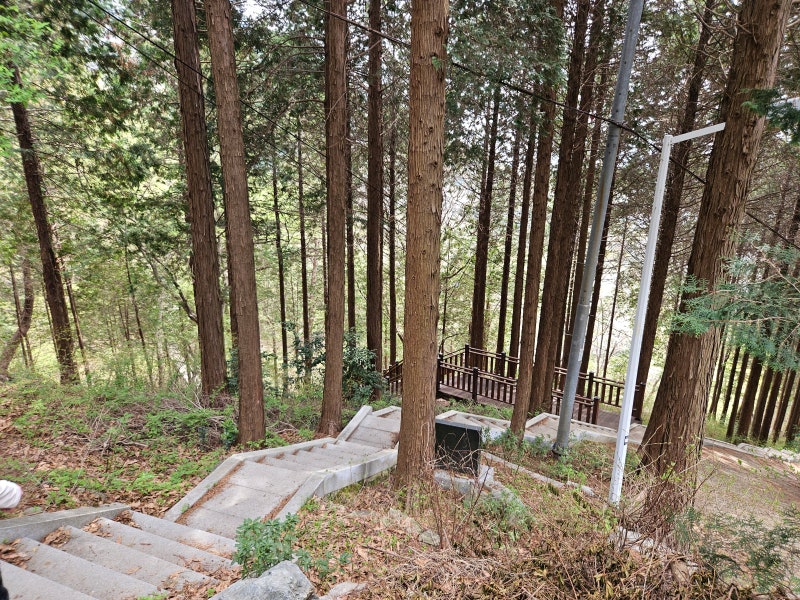 창원 진해 장복산 등산코스 장복산조각공원 출발 네이버 블로그