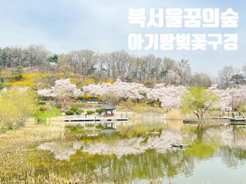 북서울꿈의숲 벚꽃 아기랑 구경하기 좋은 공원 주차편의시설 네이버 블로그