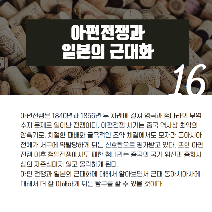 비주알 세특 탐구주제 아편전쟁과 일본의 근대화 동아시아사 세계사 사학과 일어일문학과 중어중문학과 정치외교학과