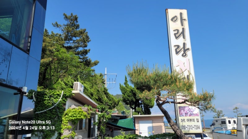 포항 영일대 회맛집 싱싱한 해산물 자연산회 물회대게 랍스타전문 3代 어부의집 아리랑 네이버 블로그