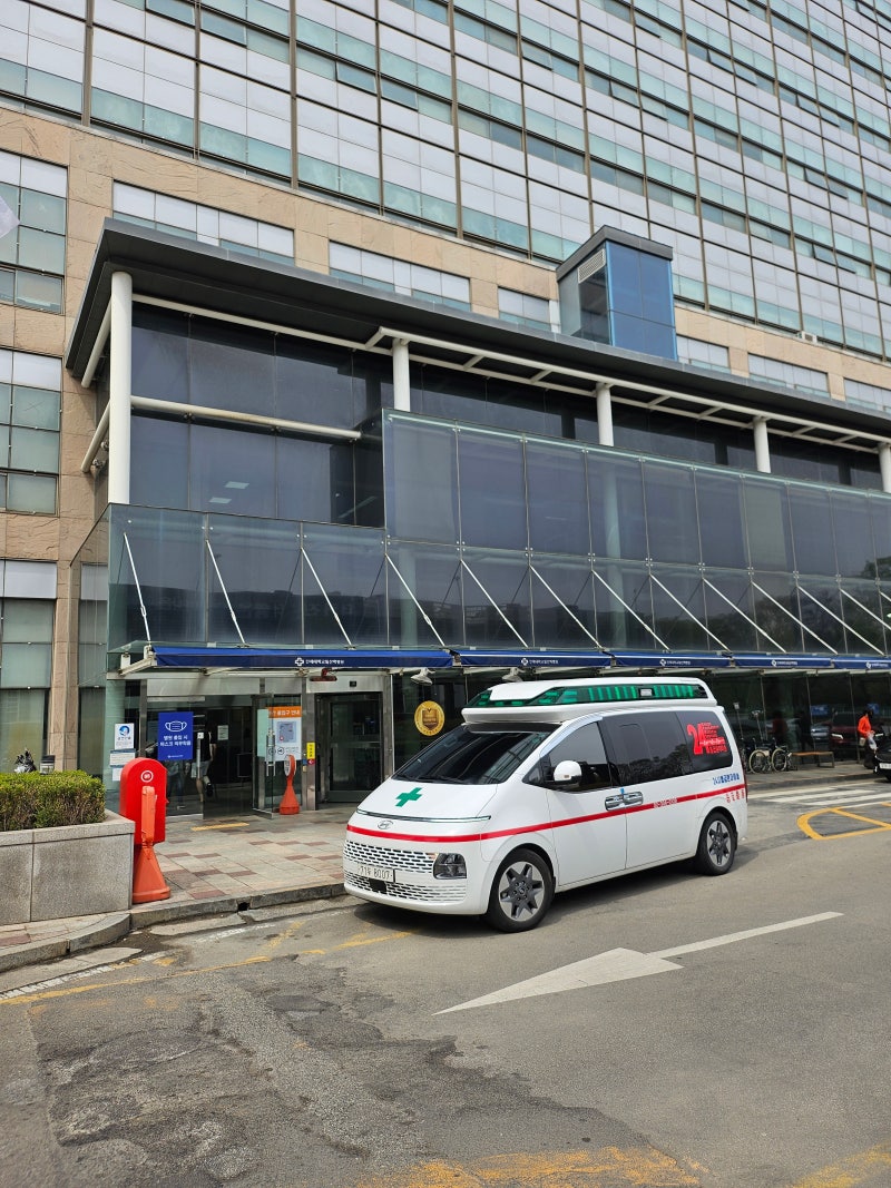 사설구급차 비용 요금 예약 환자이송 잘하는곳은24시응급환자이송단 네이버 블로그