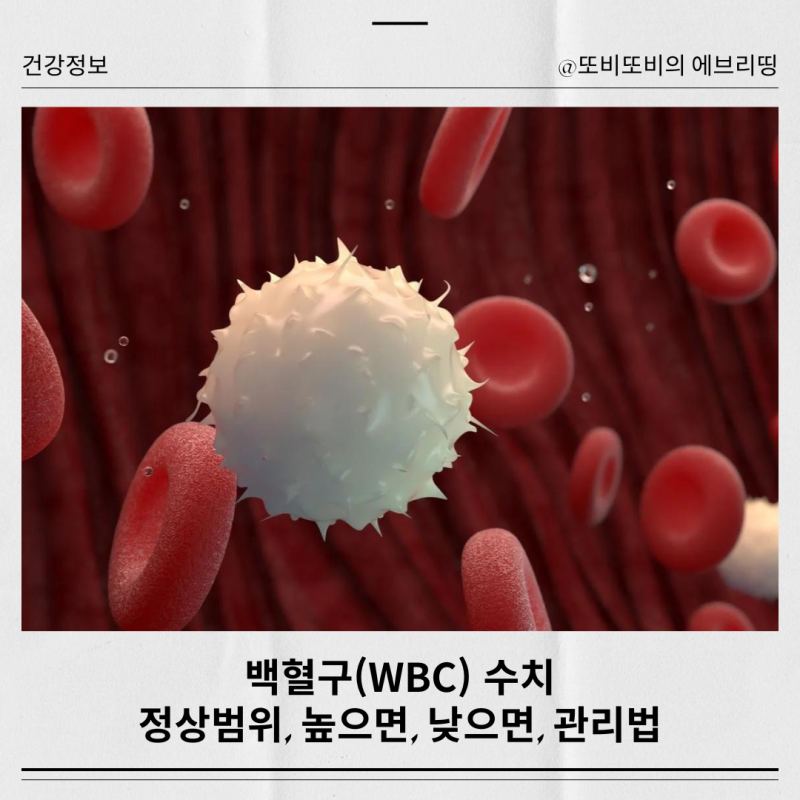 WBC 수치 뜻, 낮으면 높으면? 백혈구 정상수치, 관리방법? : 네이버 블로그