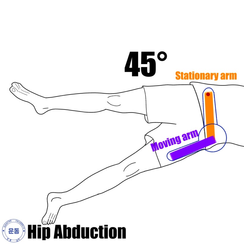 고니어미터(Goniometer) 측정 방법 -관절가동범위(ROM)테스트 하체편 : 네이버 블로그