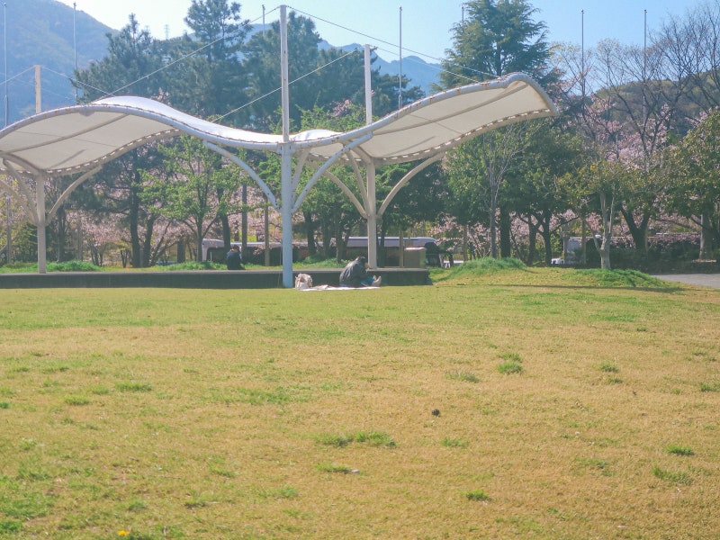 부산 스포원파크 금정체육공원 가족동반 주말가볼만한곳 네이버 블로그