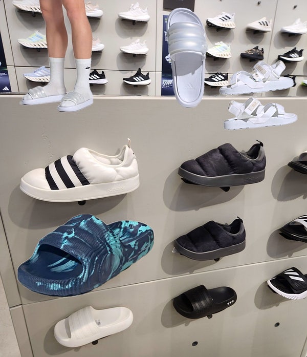 네이버 인플루언서