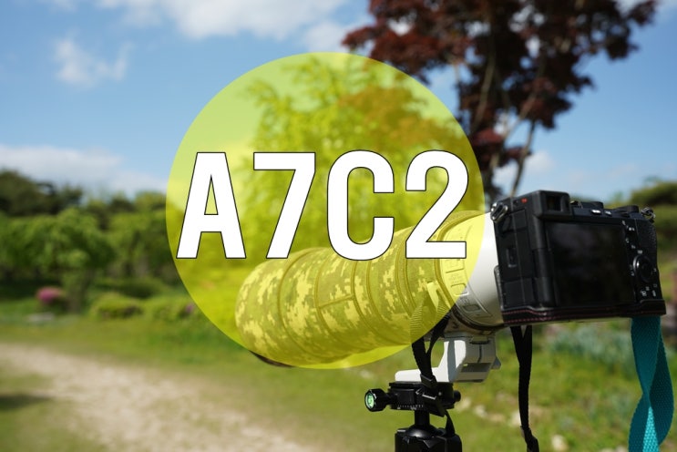 소니 a7m3 & a7c2 탐조 촬영 후기