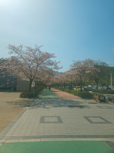 부산 스포원파크 금정체육공원 가족동반 주말가볼만한곳 네이버 블로그