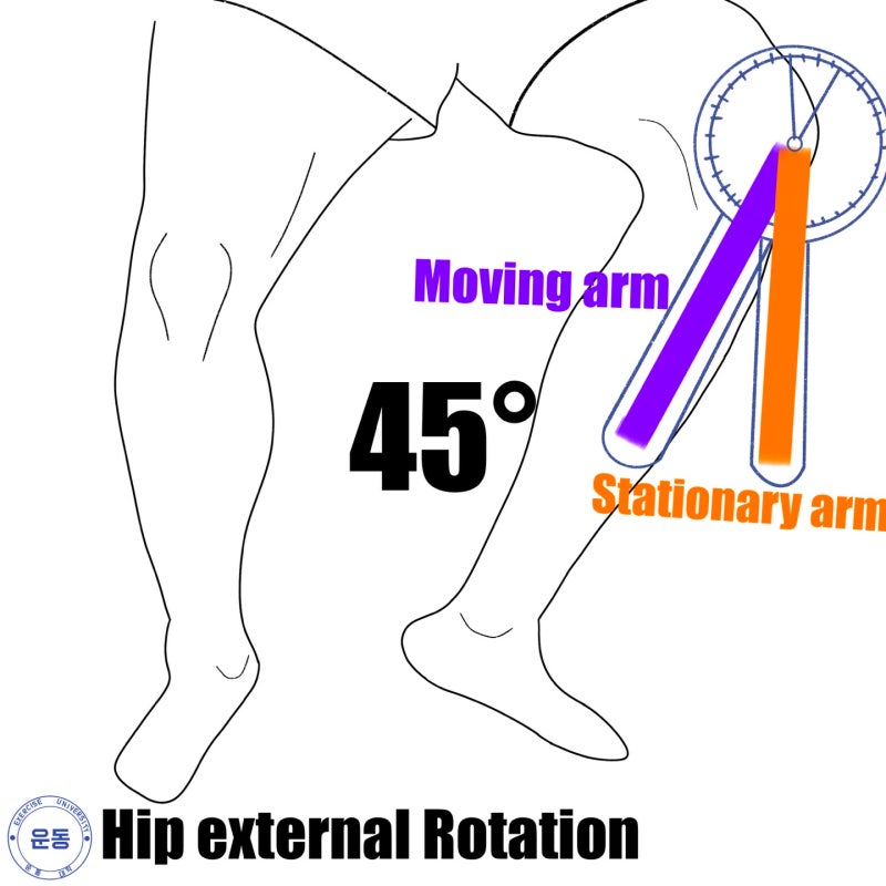 고니어미터(Goniometer) 측정 방법 -관절가동범위(ROM)테스트 하체편 : 네이버 블로그