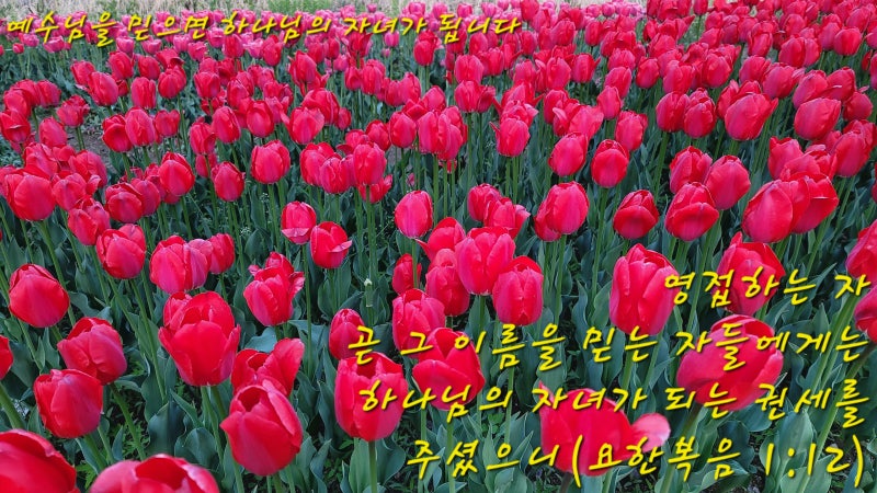 1호선 인천 급행 정차역 및 급행 노선도 1호선 광운대 급행202571일자 기준 시간표 네이버 블로그