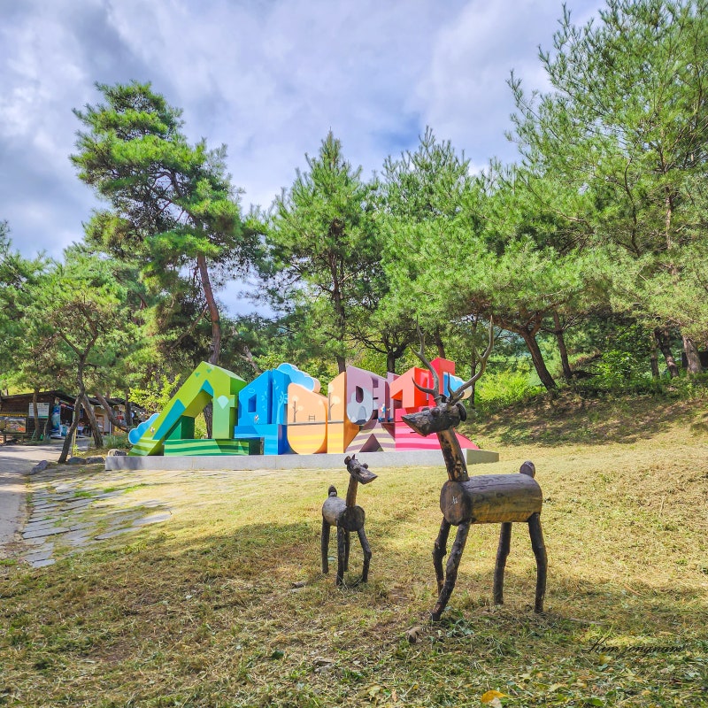 충북 괴산 가볼만한곳 산막이옛길 유람선여행 네이버 블로그