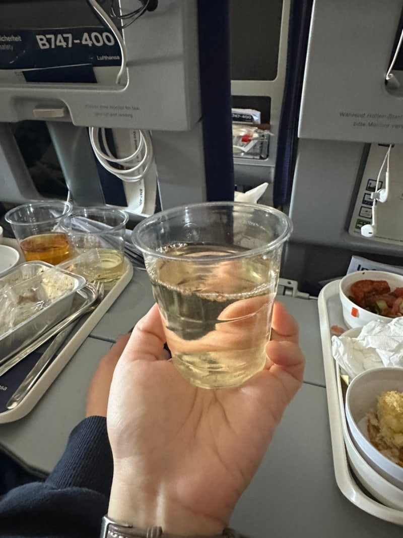 루프트한자 LH713 LH1120 좌석 추천, 기내식, 경유 후기 (독일 거쳐 스페인 마드리드로) : 네이버 블로그