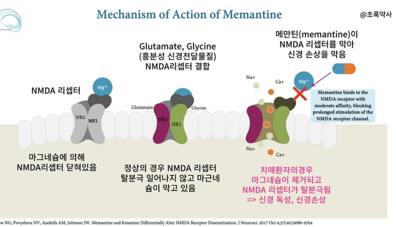에빅사정메만틴염산염 알츠하이머 치매 복용법 효능 효과 부작용 네이버 블로그