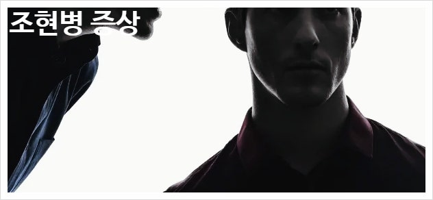 조현병schizophrenia 정의와 원인 정신분열증 증상과 진단 약물과 재활치료 및 예방법 네이버 블로그