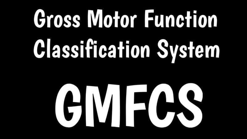 GMFCS(Gross Motor Funtion Classification System) : 네이버 블로그