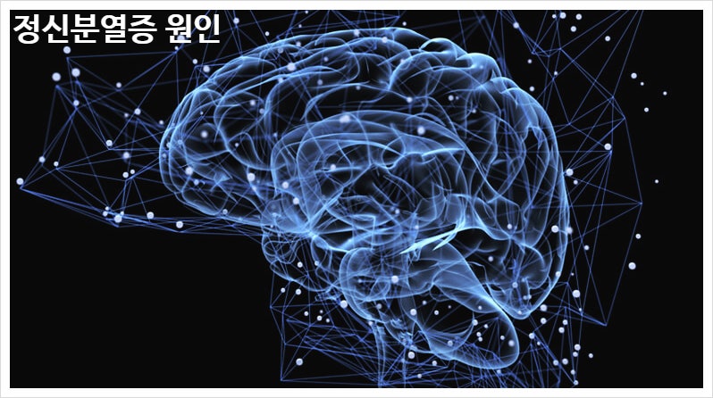 조현병schizophrenia 정의와 원인 정신분열증 증상과 진단 약물과 재활치료 및 예방법 네이버 블로그