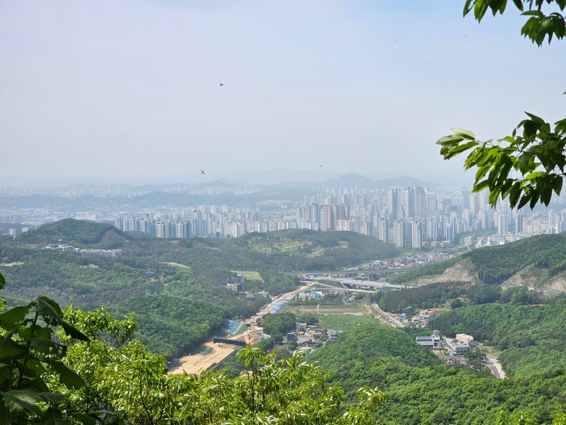 동탄 무봉산 등산코스 중리공영주차장 D코스 A코스 산행 네이버 블로그