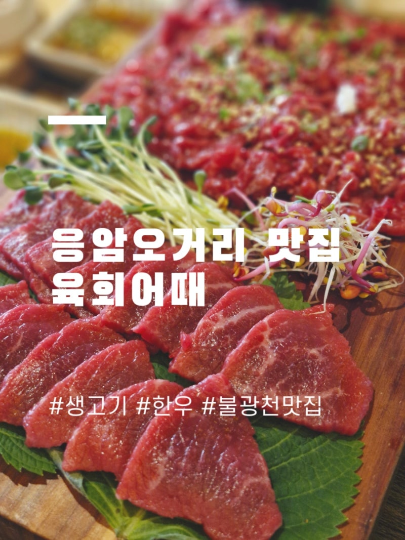 새절역 근처 한우 생고기만 사용하는 응암오거리 맛집 육회어때 응암점 네이버 블로그