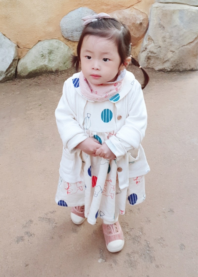 김영란법 어린이집 스승의날 선물 유치원 학교 선생님 선물금액 네이버 블로그