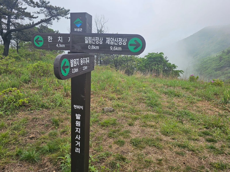 보성 일림산 철쭉 산행 최단 등산 코스 And 철쭉 축제·문화행사 네이버 블로그
