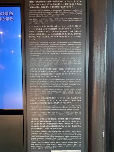 대마도 패키지 1박2일 우정 여행 솔직 후기경비 비용일정이즈하라시내호텔 네이버 블로그