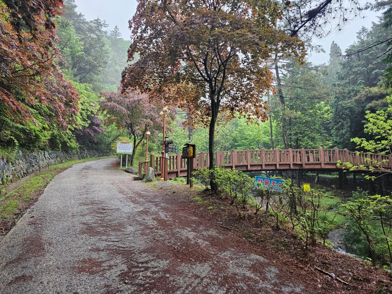 보성 일림산 철쭉 산행 최단 등산 코스 And 철쭉 축제·문화행사 네이버 블로그