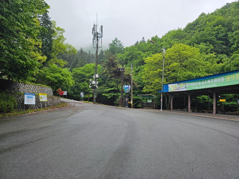 보성 일림산 철쭉 산행 최단 등산 코스 And 철쭉 축제·문화행사 네이버 블로그