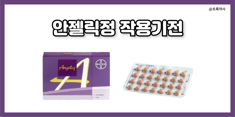 안젤릭정 성분 효능 효과 복용법 출혈 부작용 중단 주의사항 네이버 블로그
