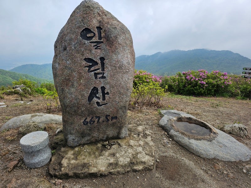 보성 일림산 철쭉 산행 최단 등산 코스 And 철쭉 축제·문화행사 네이버 블로그