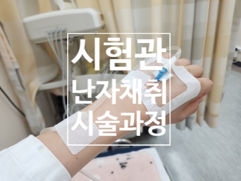 시험관 난자채취 과정 준비 마취 난포개수 시술 후 통증 후기 네이버 블로그