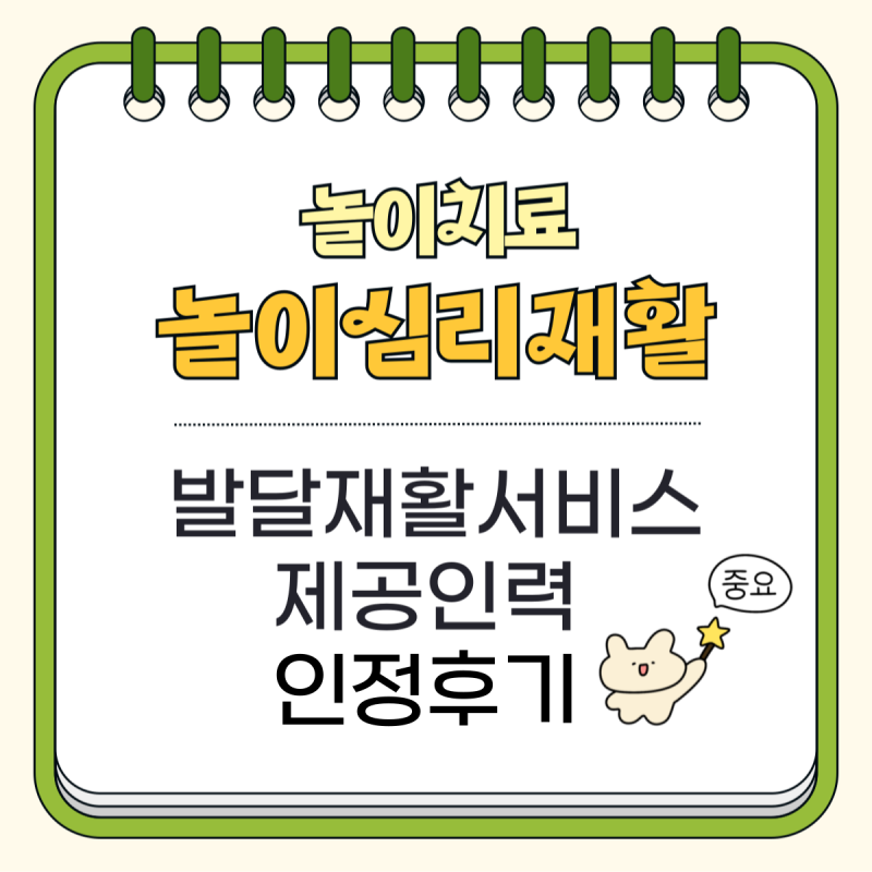 발달재활서비스 제공인력 놀이심리재활 자격 인정 후기취득 방법 취득 과정 취득 기간 등 네이버 블로그