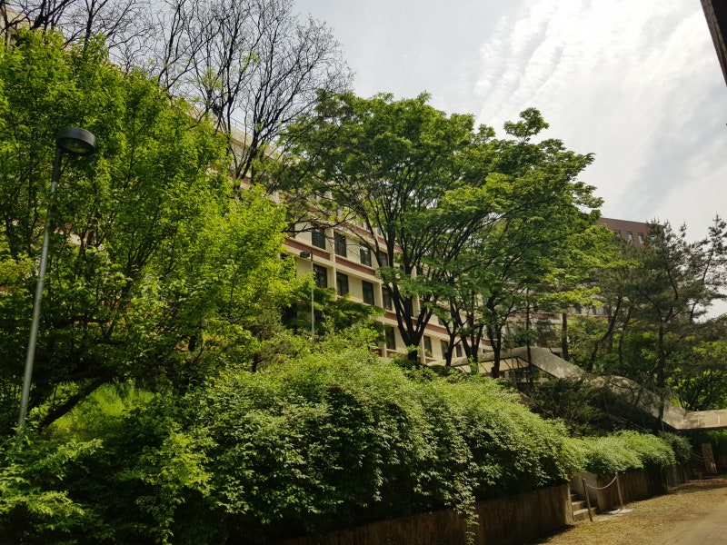 809 경기도 대학교 대학 기숙사 생활관 수용인원 기숙사비 기숙사 비용 입사경쟁률 캠퍼스 투어 탐방 여행