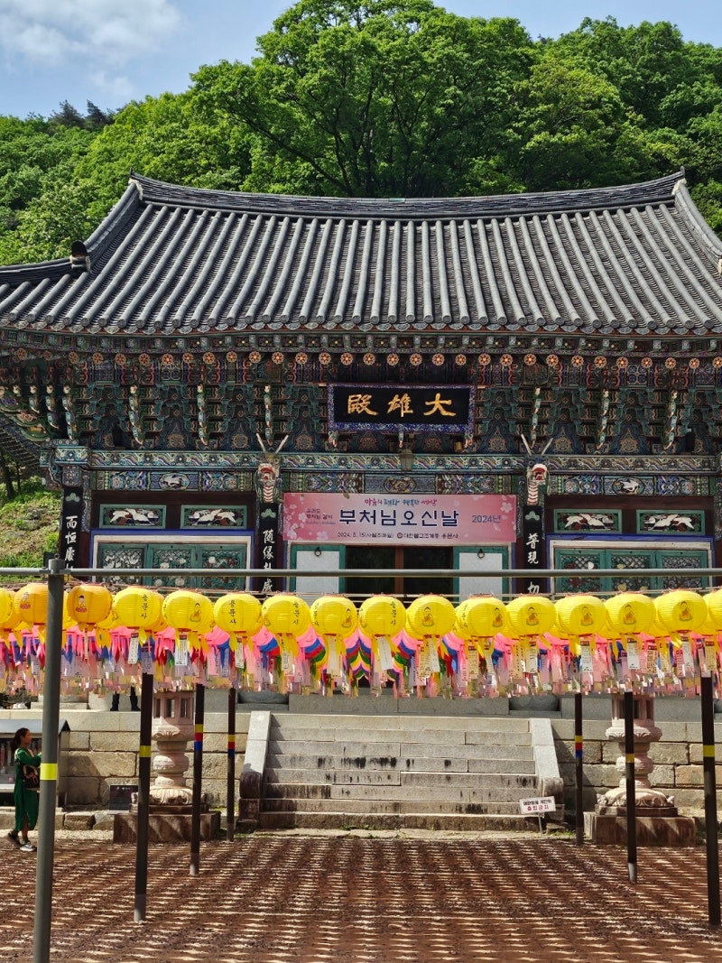 양평 가볼만한곳 용문사 주차장 템플스테이 은행나무 카페 네이버 블로그