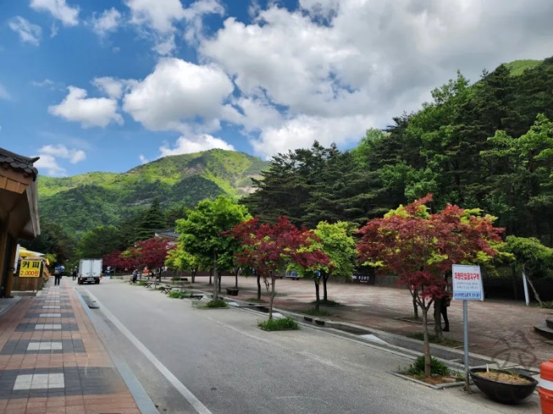 강원도 동해 두타산 등산 산행 코스 산성길 베틀바위 무릉 계곡 마천루 전망대 지도 네이버 블로그