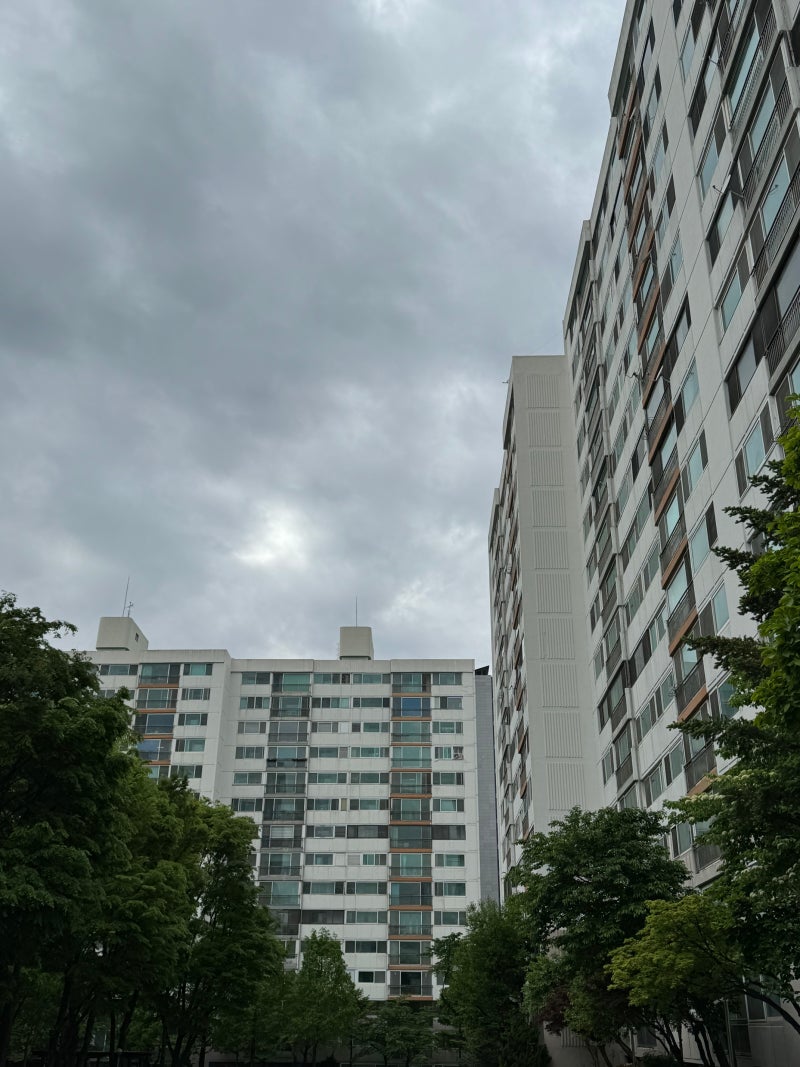 송파구 재건축 위치는 참 좋은데 애매한 용적률과 둘로 쪼개진 단지 오금 대림 네이버 블로그